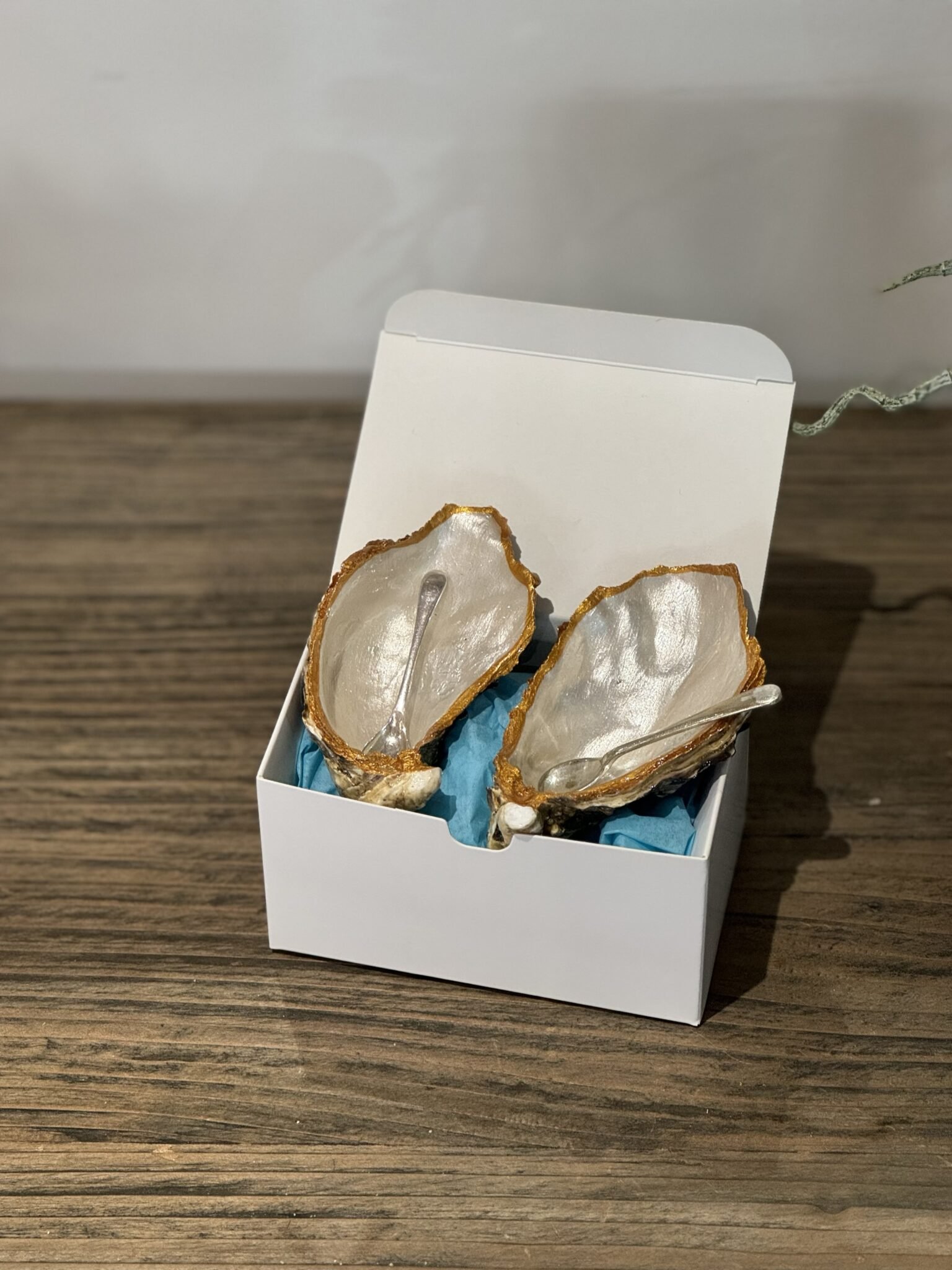 Beautiful Painted Shells - Made in Shropshire, UK by Francesca.